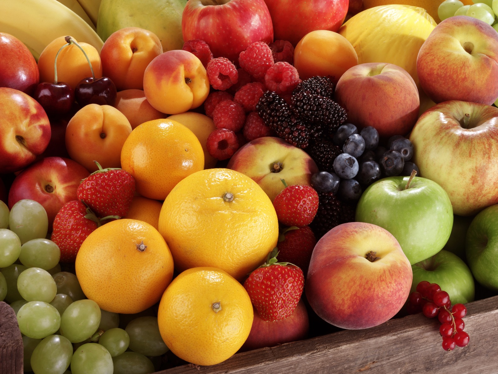 What Is Better? Fresh or Frozen